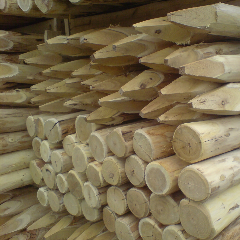 Palen - devakhandel.nl