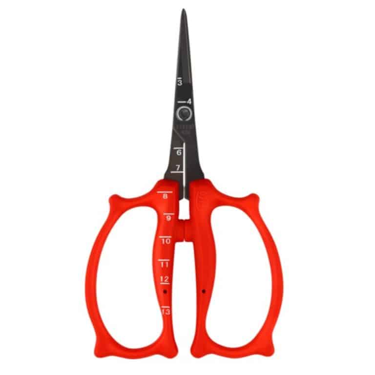 Snoeischaar Felco 6 Premium Special Edition - devakhandel.nl